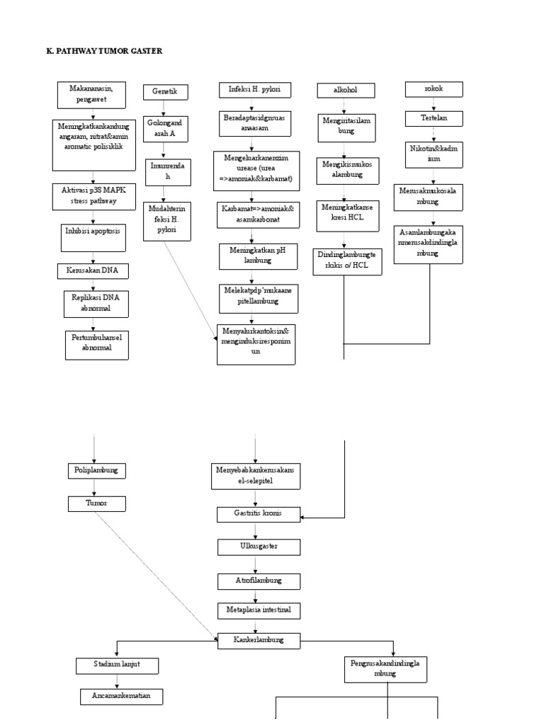 Pathway Tumor Gaster | PDF