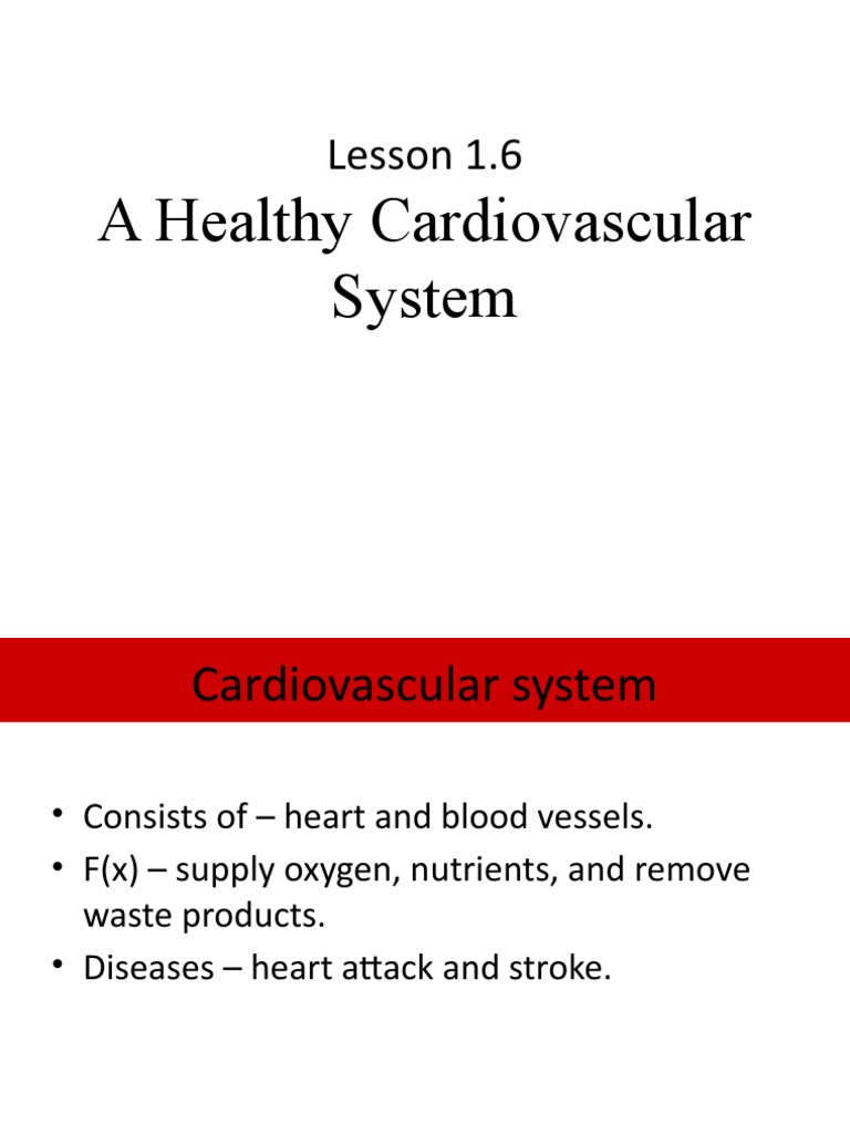 A Healthy Cardiovascular System: Lesson 1.6 | PDF | Wellness
