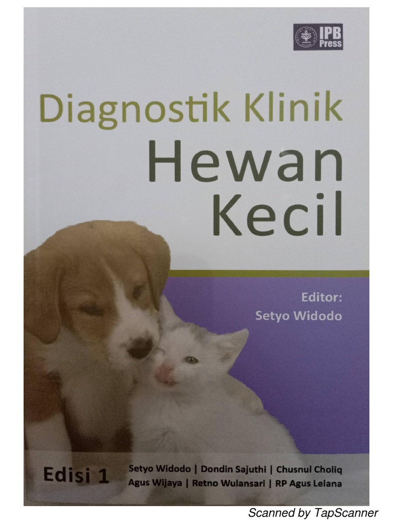 TapScanner Document Scan Overview | PDF