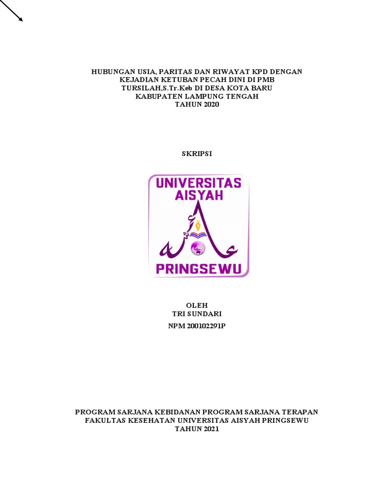 Skripsi Tri Sundari | PDF