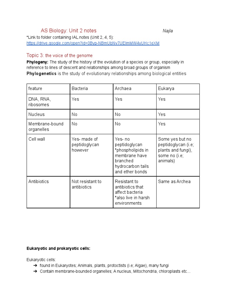 As Biology: Unit 2 Notes (Edexcel) | PDF | Meiosis | Evolution