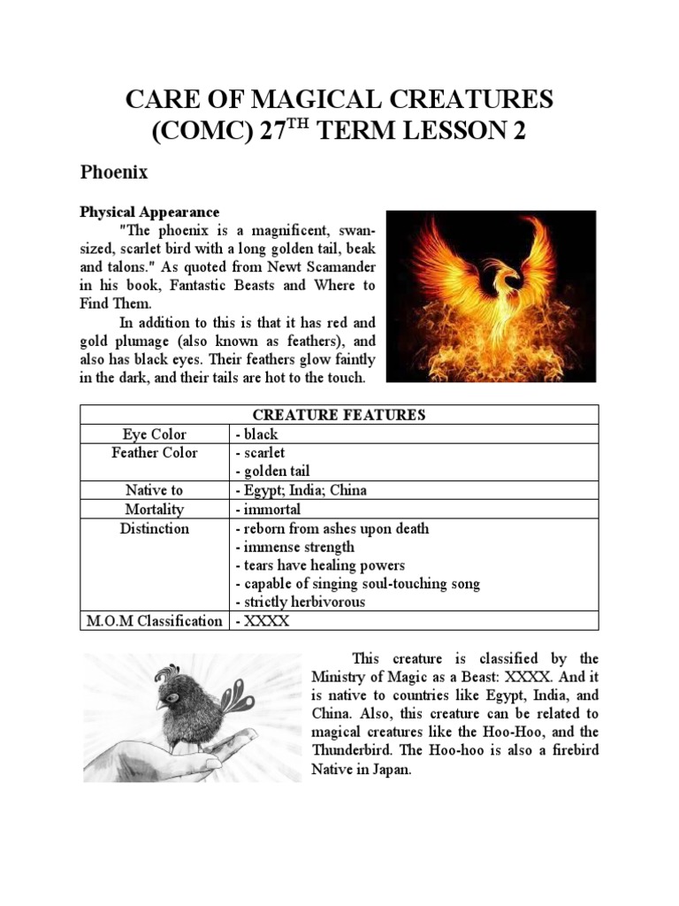 Notes Care of Magical Creatures Comc 27TH Term Lesson 2 | PDF | Harry ...
