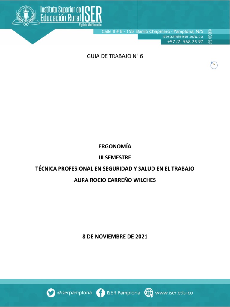 Ergonomia5 2021 2 | PDF | Factores humanos y ergonomía | Evaluación