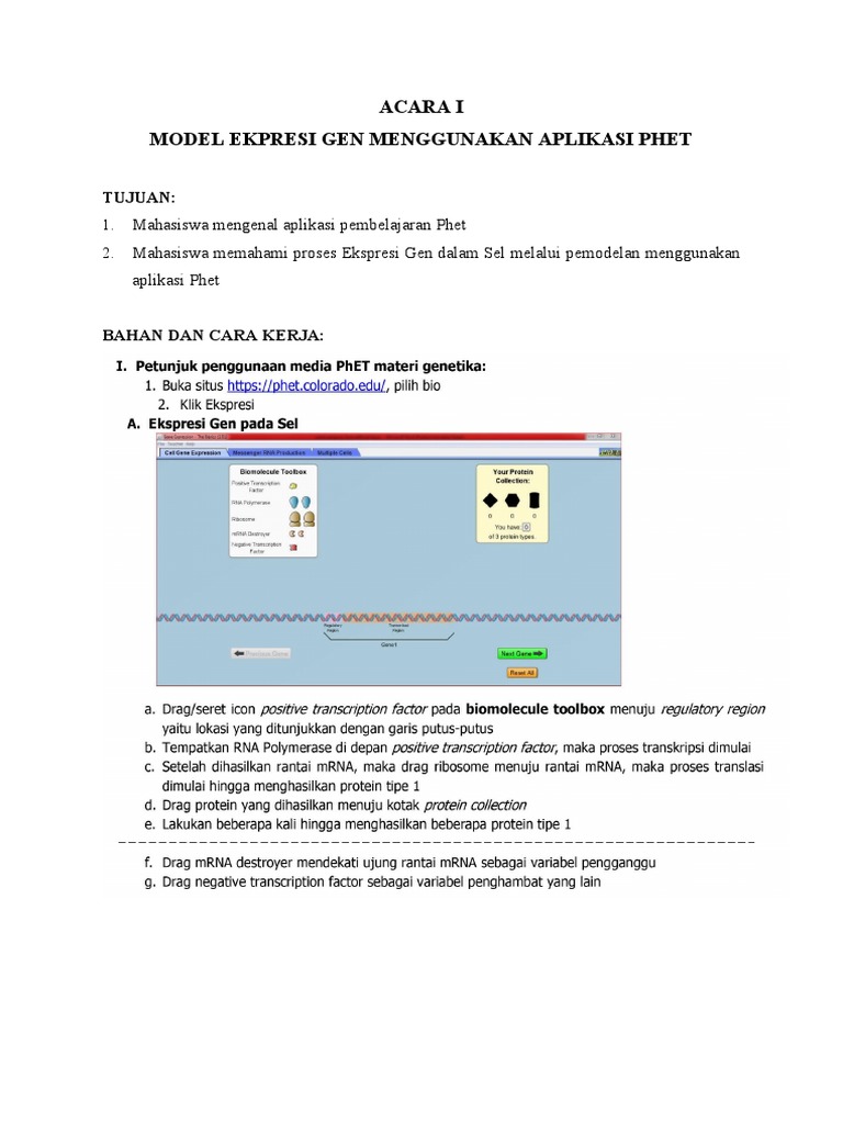 Praktikum Phet | PDF