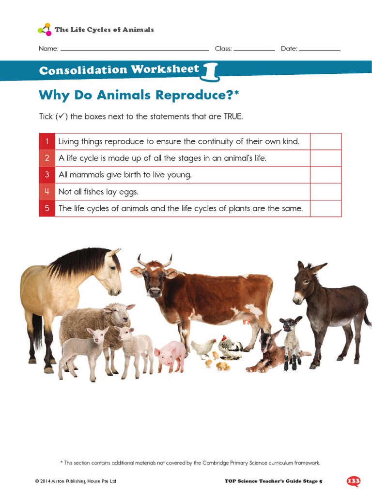 TOP Science Grade 5 Worksheets Chapter 2 | PDF | Pupa | Zoology