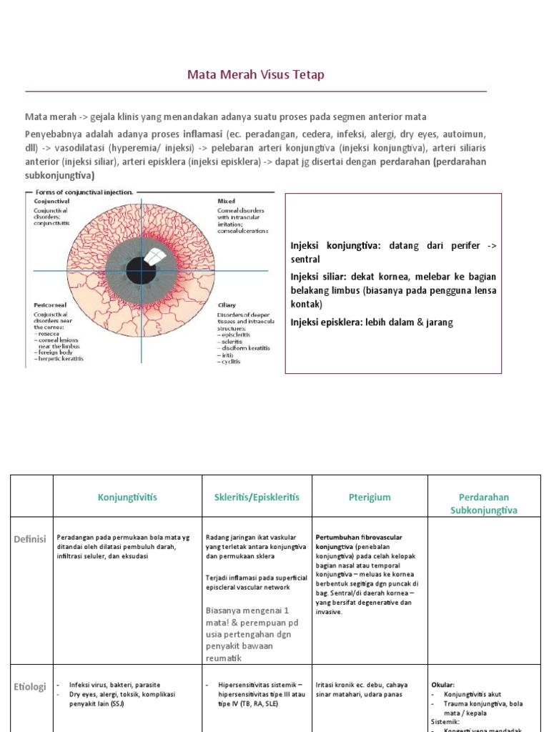 Mata Merah Visus Tetap | PDF