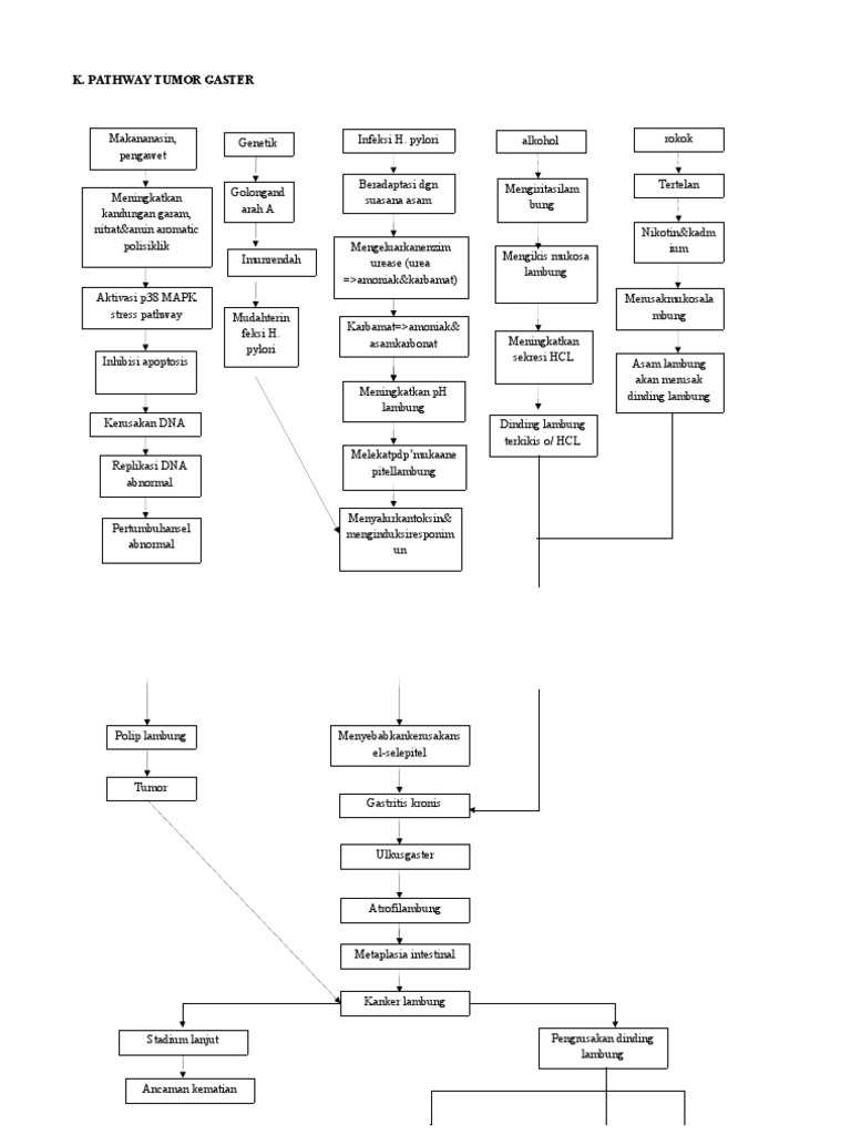 Pathway Tumor Gaster | PDF
