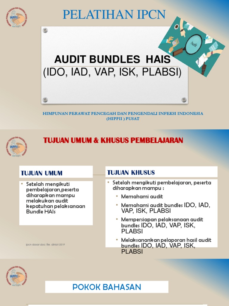 AUDIT BUNDLE HAIS - Elis P | PDF