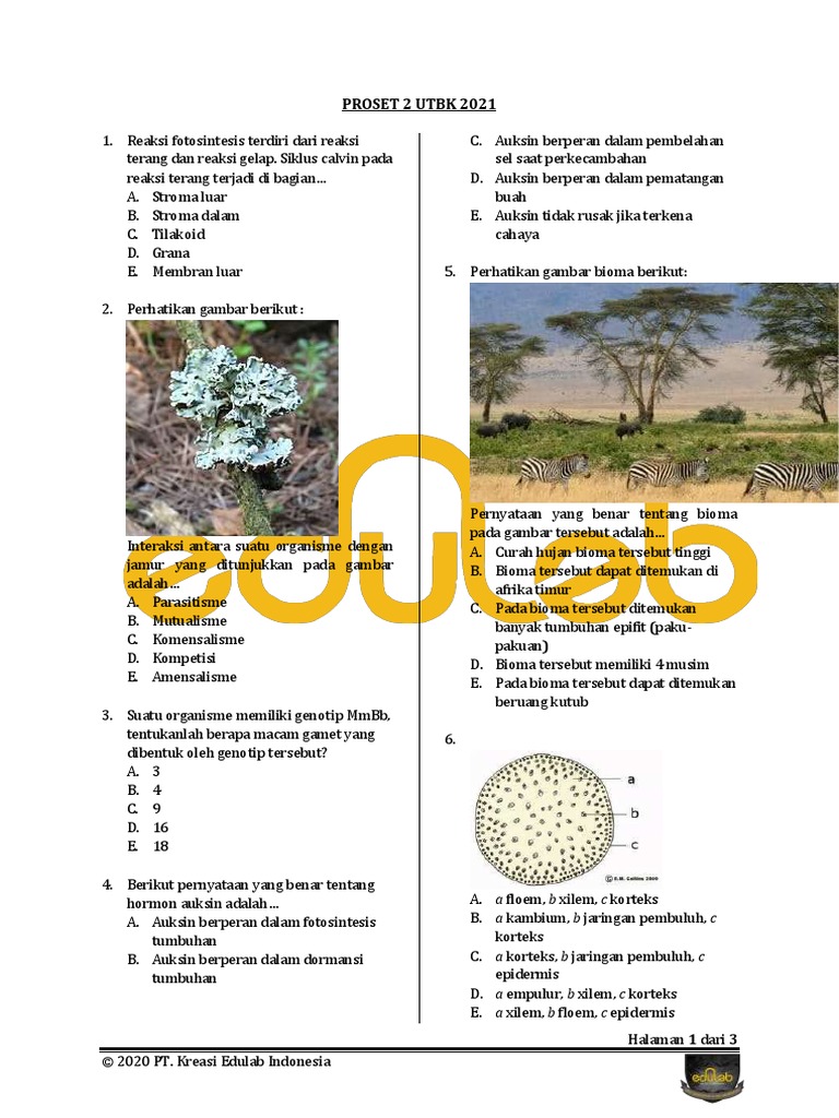 Proset Utbk 2 - Share Siswa | PDF