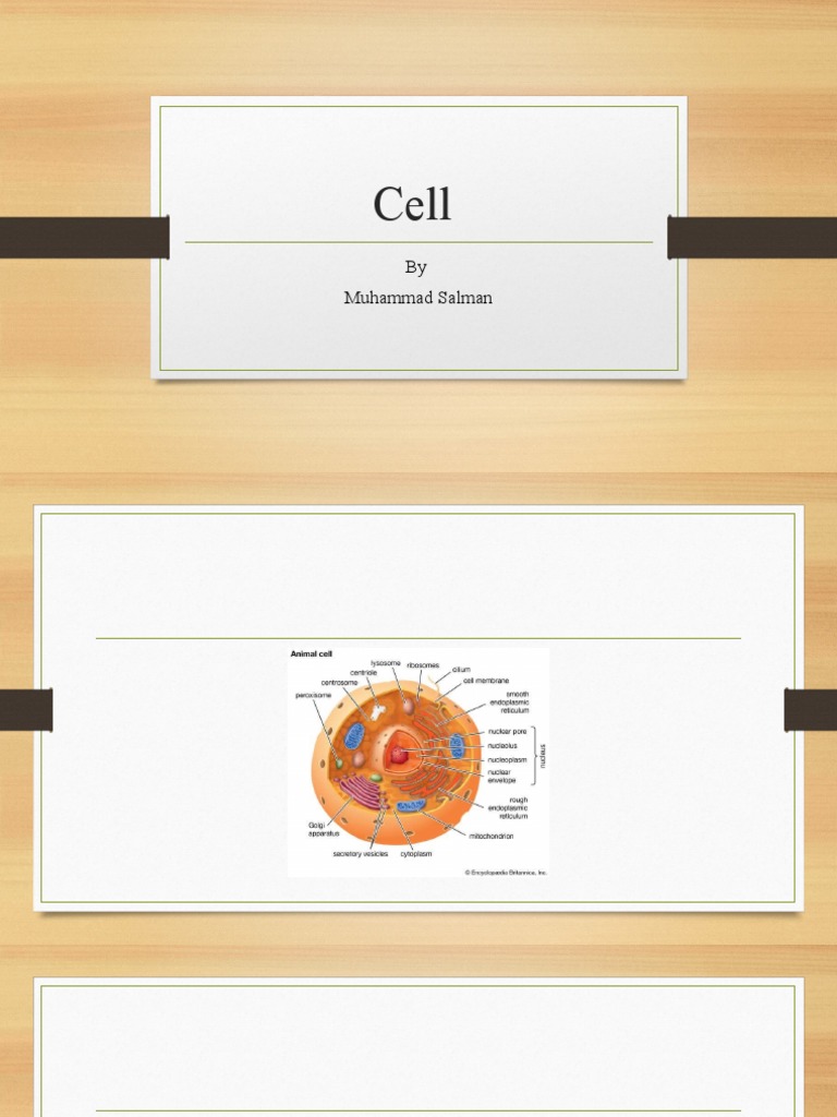 Cell | PDF | Cell Membrane | Endoplasmic Reticulum