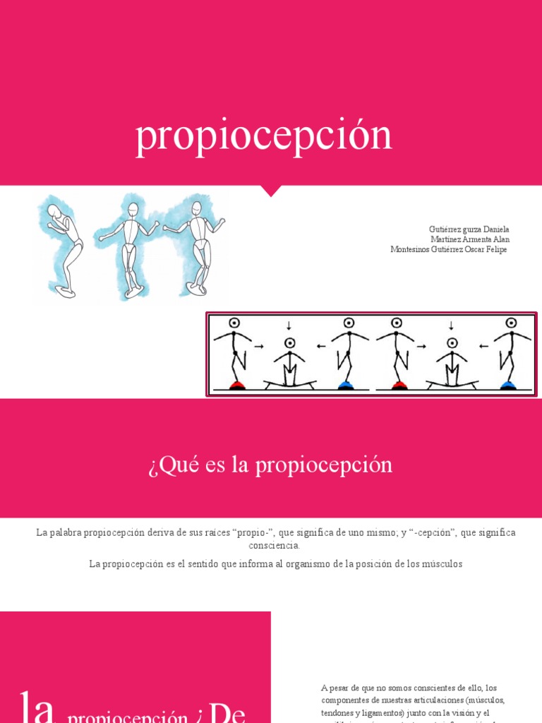 Propiocepción | PDF | Sistema nervioso | Fisiología