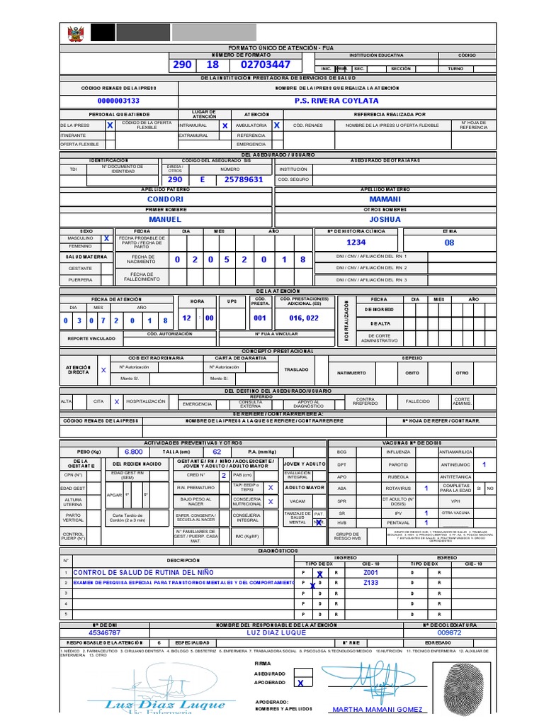 Modelo de Llenados | PDF | Medicina | Cuidado de la salud