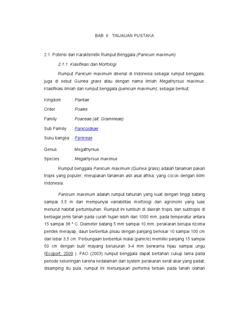 Ammoniasi Rumput Benggala | PDF