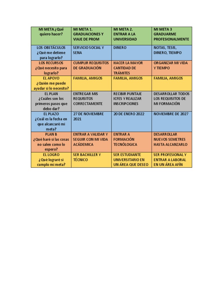 Plan de Metas Académicas y Profesionales | PDF