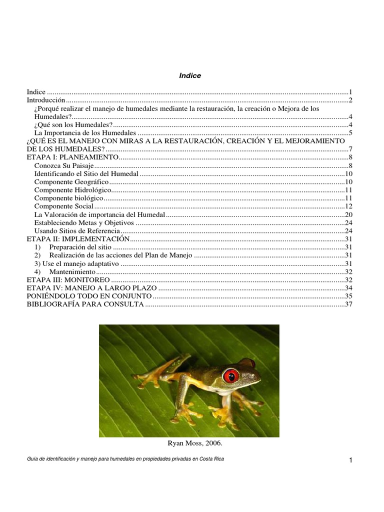 Guia Sobre Restauración de Humedales | PDF | Humedal | Ecosistema