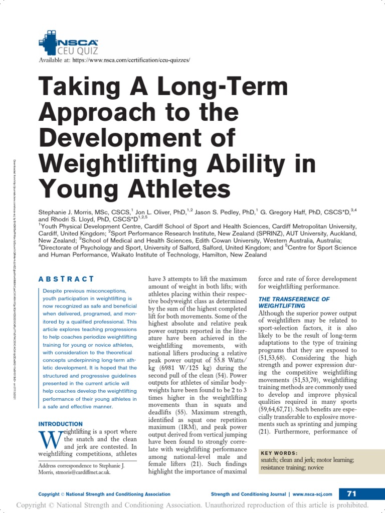 Taking A Long Term Approach To The Development Of.8 | Download Free PDF ...