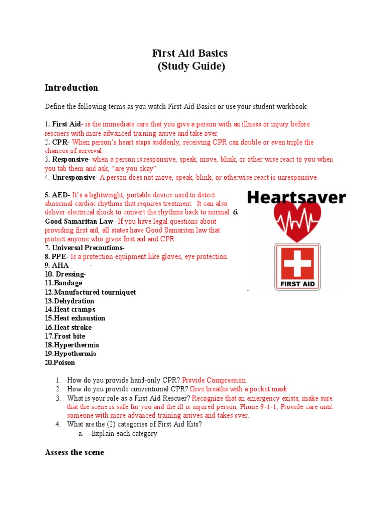 First Aid Basics Study Guide (AutoRecovered) | PDF | Cardiopulmonary ...