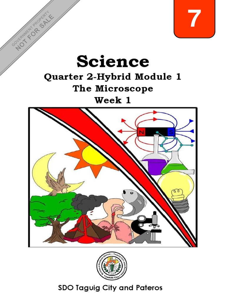 Science: Quarter 2-Hybrid Module 1 The Microscope Week 1 | PDF ...