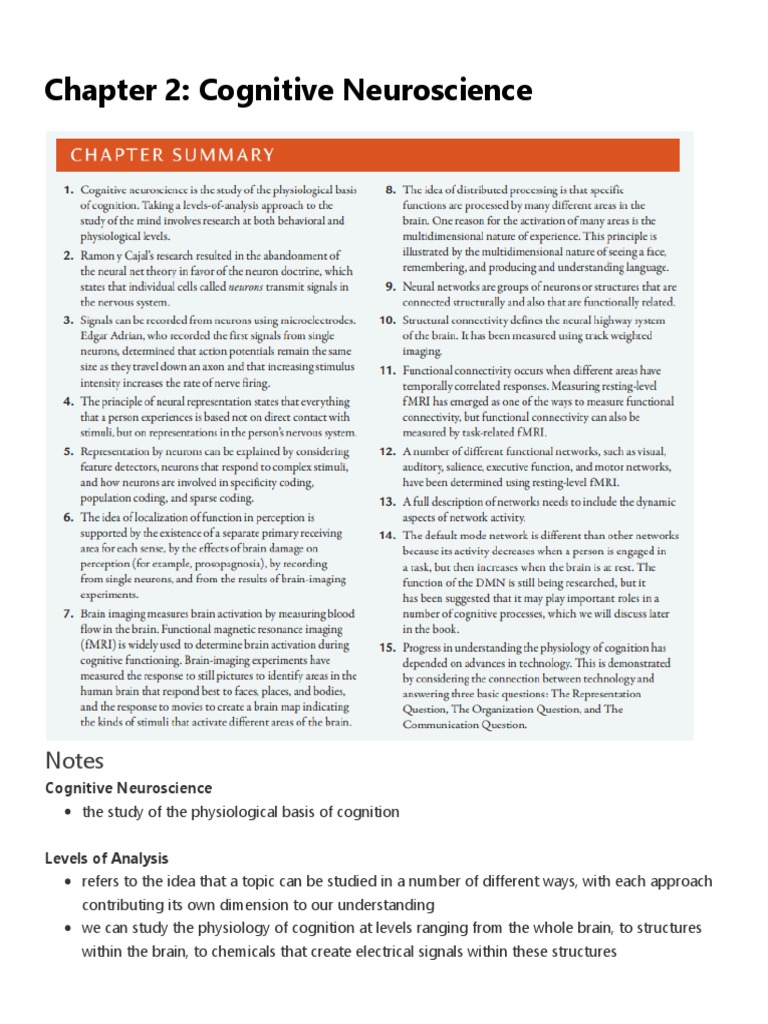 Chapter 2 Cognitive Neuroscience | PDF | Neuron | Brain