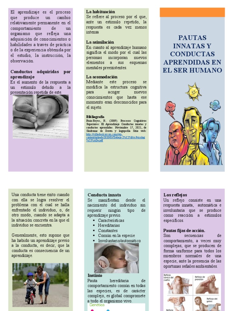 Folleto Pautas Innatas y Conductas Aprendidas en El Ser Humano | PDF ...