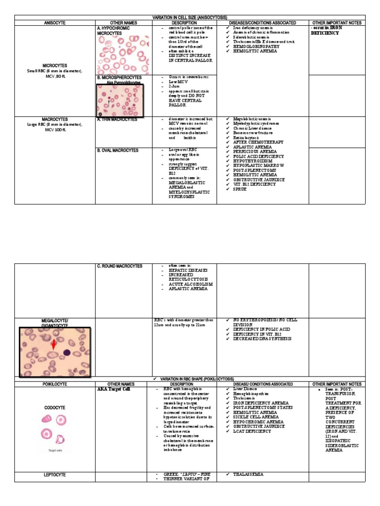 Notes in RBC Abnormalities | PDF | Anemia | Red Blood Cell