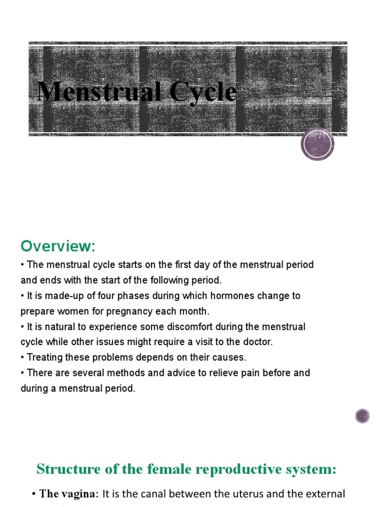 The Female Menstrual Cycle: A Comprehensive Breakdown of the Ovarian ...