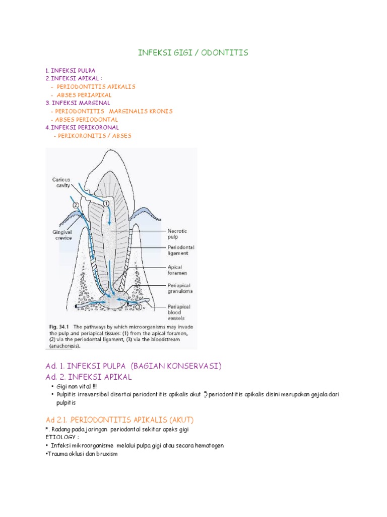 Infeksi Gigi | PDF