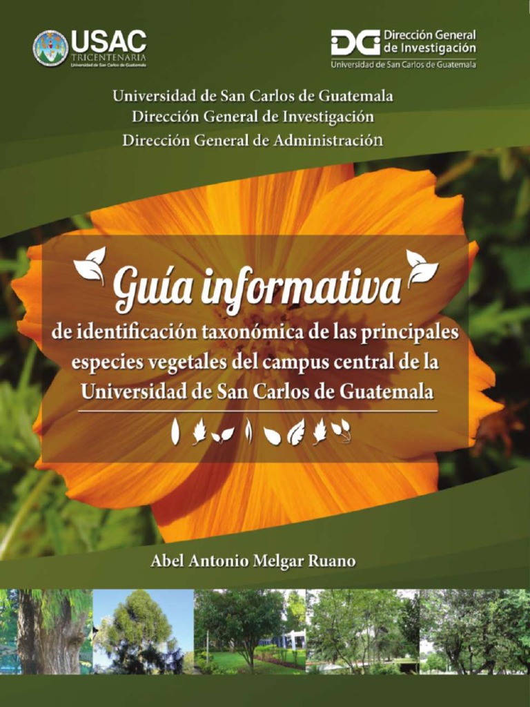 Guia Flores | PDF | Plantas | Botánica