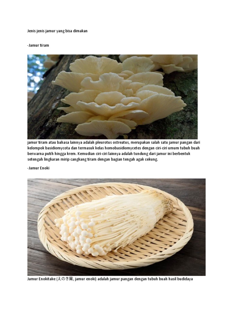 Jenis Jenis Jamur Yang Bisa Dimakan | PDF