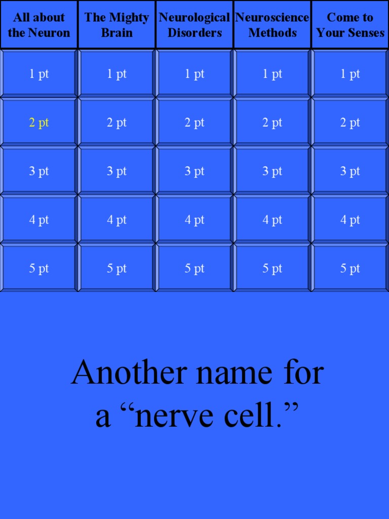 Jeopardy | PDF | Neuron | Brain