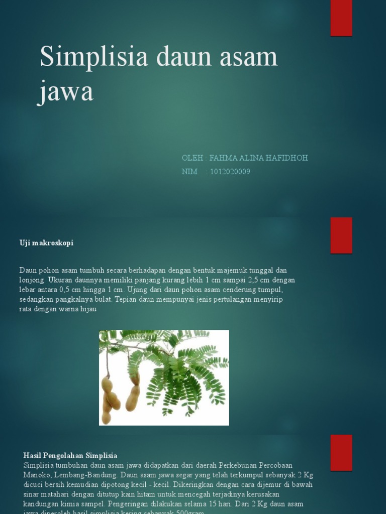 Simplisia Daun Asam Jawa ALINA | PDF