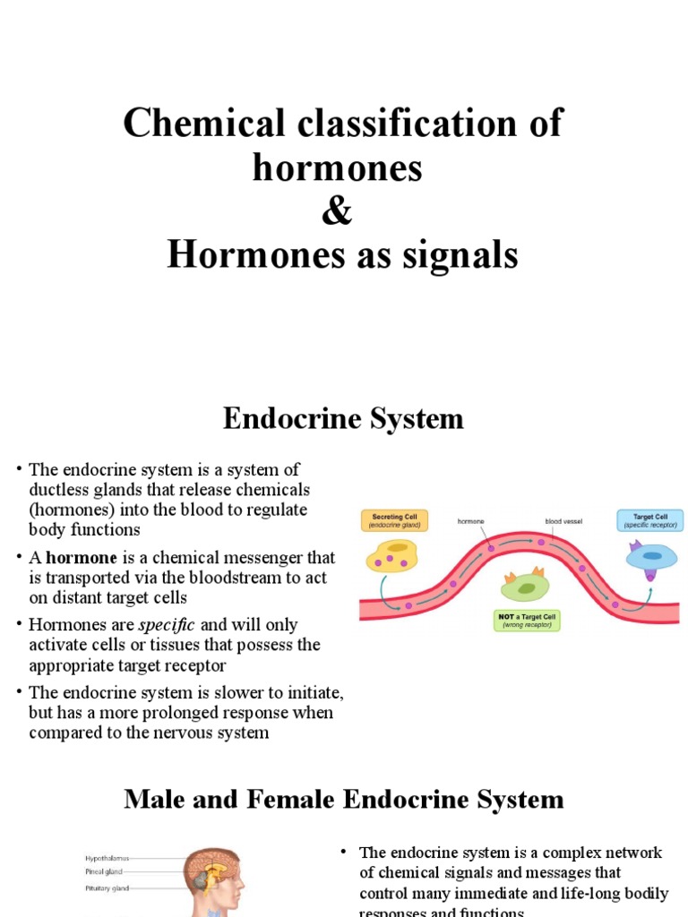 Hormone Classification Overview | PDF | Endocrine System | Hormone