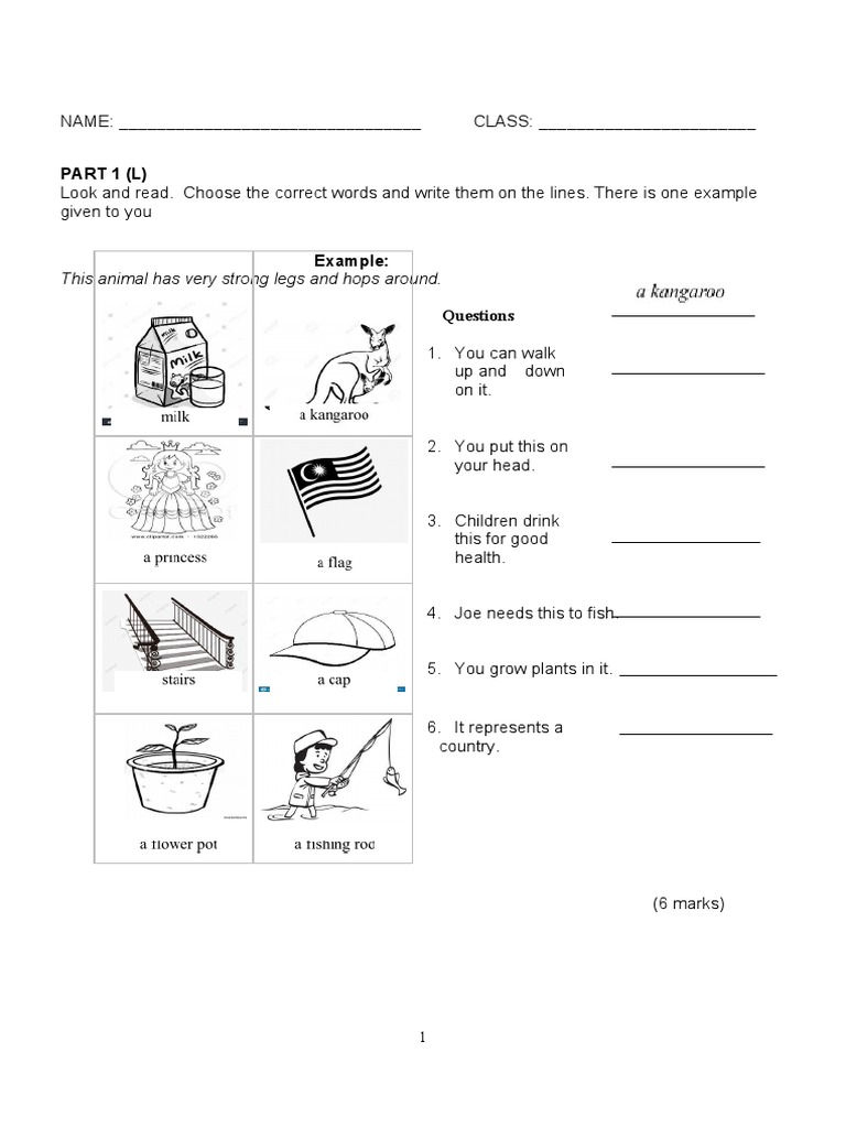 Reading Comprehension Exercises for Kids | PDF | Dolphin