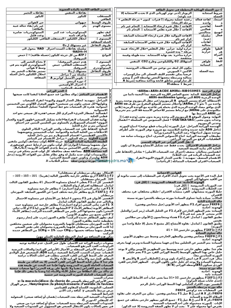 Resume SVT 2bac 25 | PDF