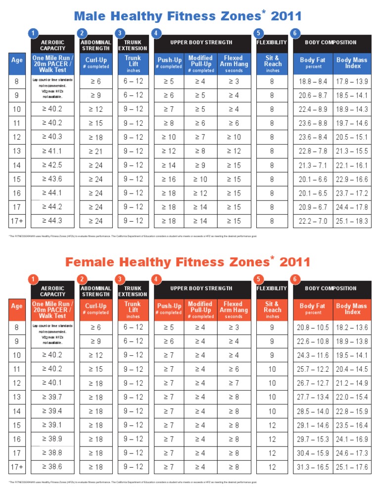Healthy Fitness Zones | PDF | Physical Fitness | Human Weight