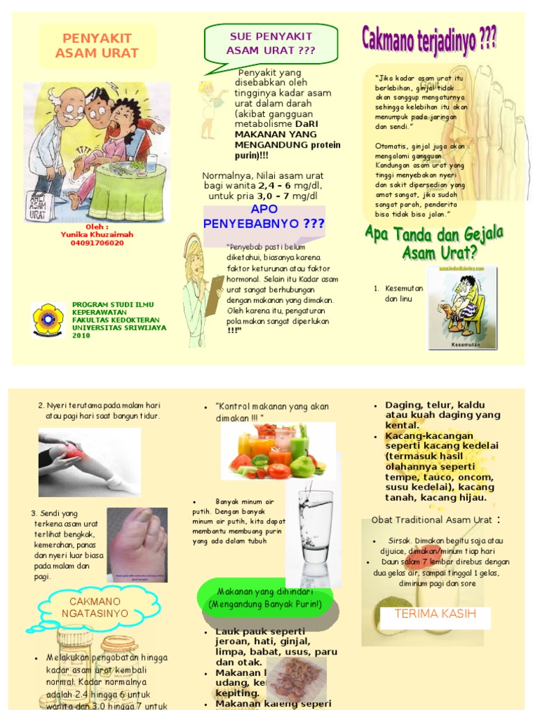 Leaflet Asam Urat | PDF