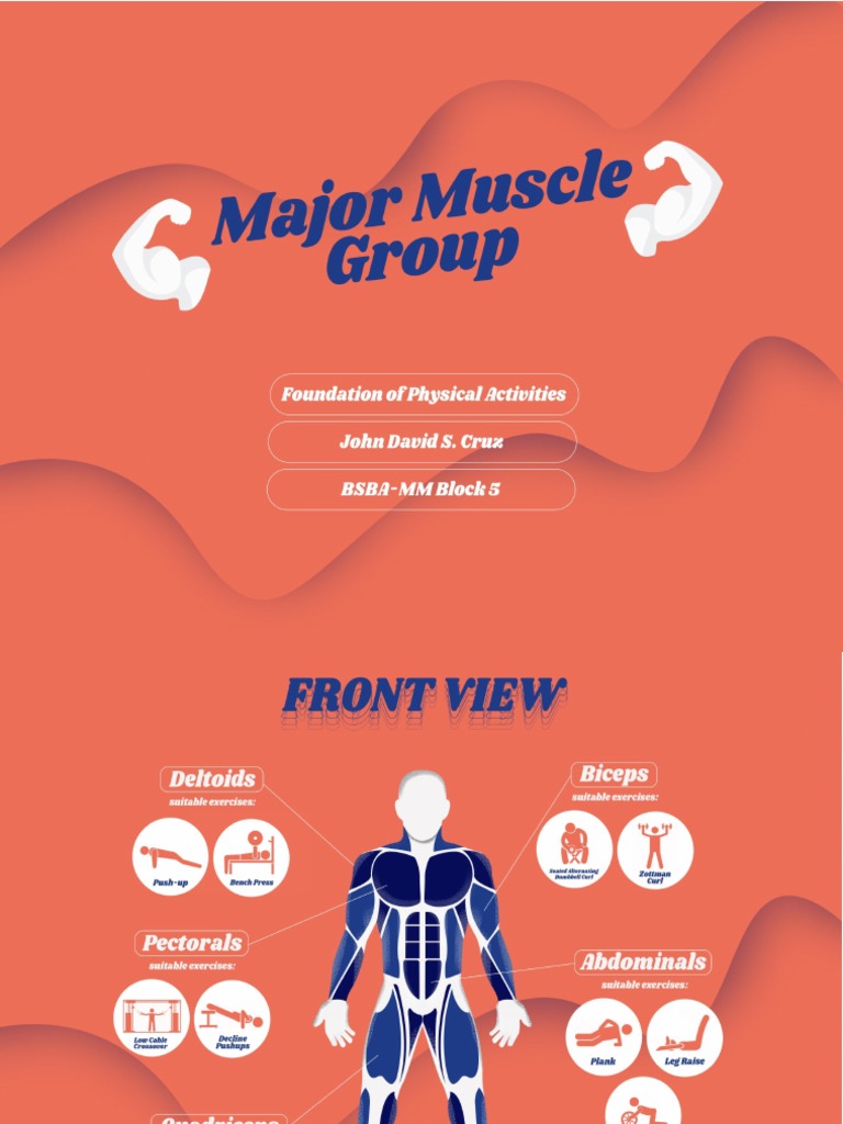 Major Muscle Group | PDF