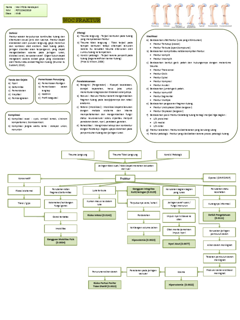Woc Fraktur 1 Pdf