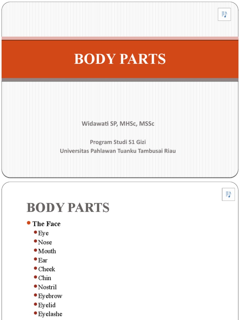 Body Parts: Widawati SP, MHSC, MSSC | PDF | Career & Growth | Language Arts & Discipline