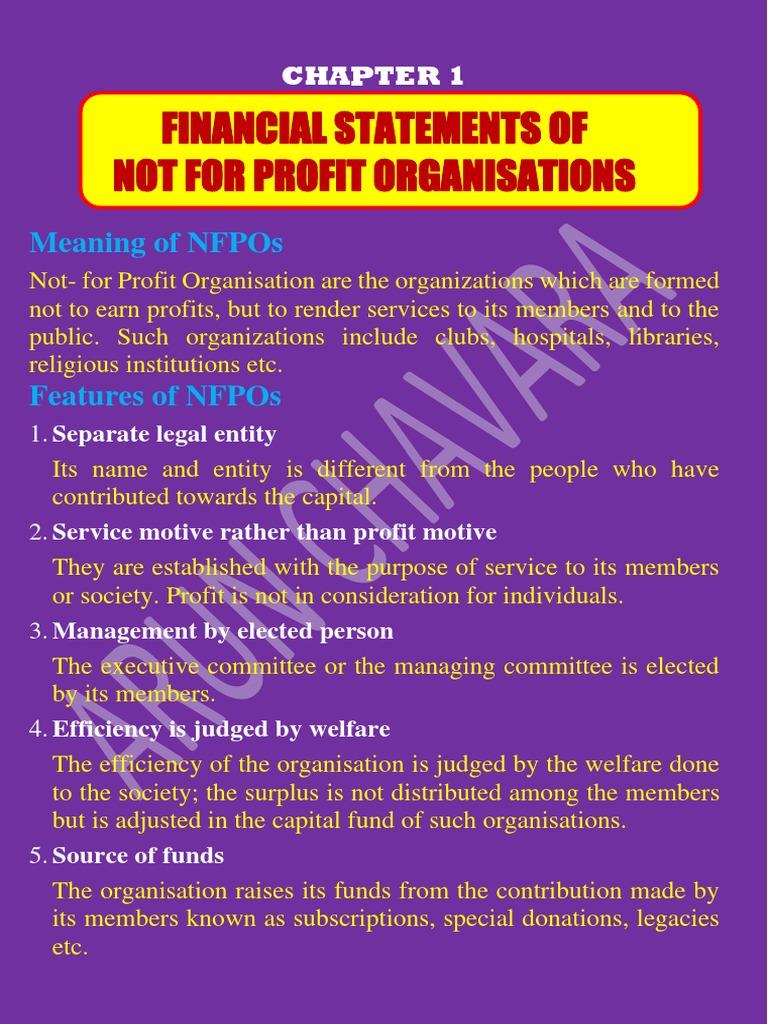 NFPO Financial Statements Overview | PDF | Debits And Credits | Income ...