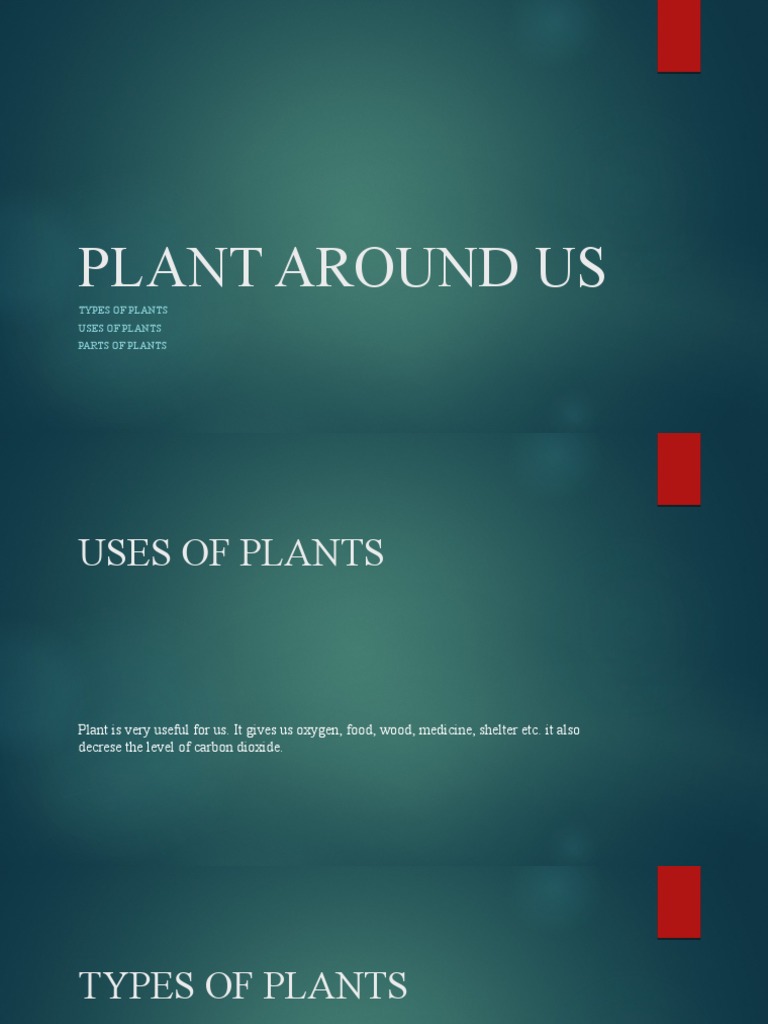 Plant Around Us: Types of Plants Uses of Plants Parts of Plants | PDF