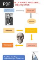 Matriz Funcional de Moss Crecimiento y Desarrollo | PDF | Regeneración ...