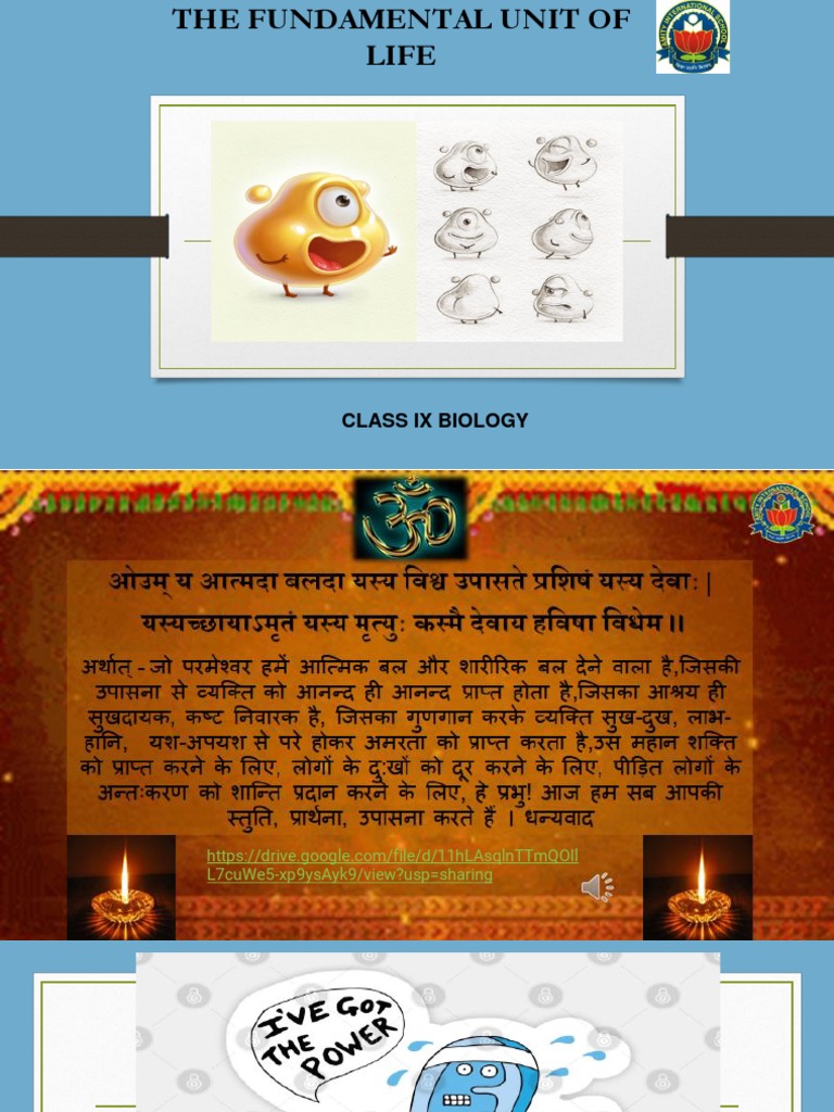 Class Ix Biology | PDF