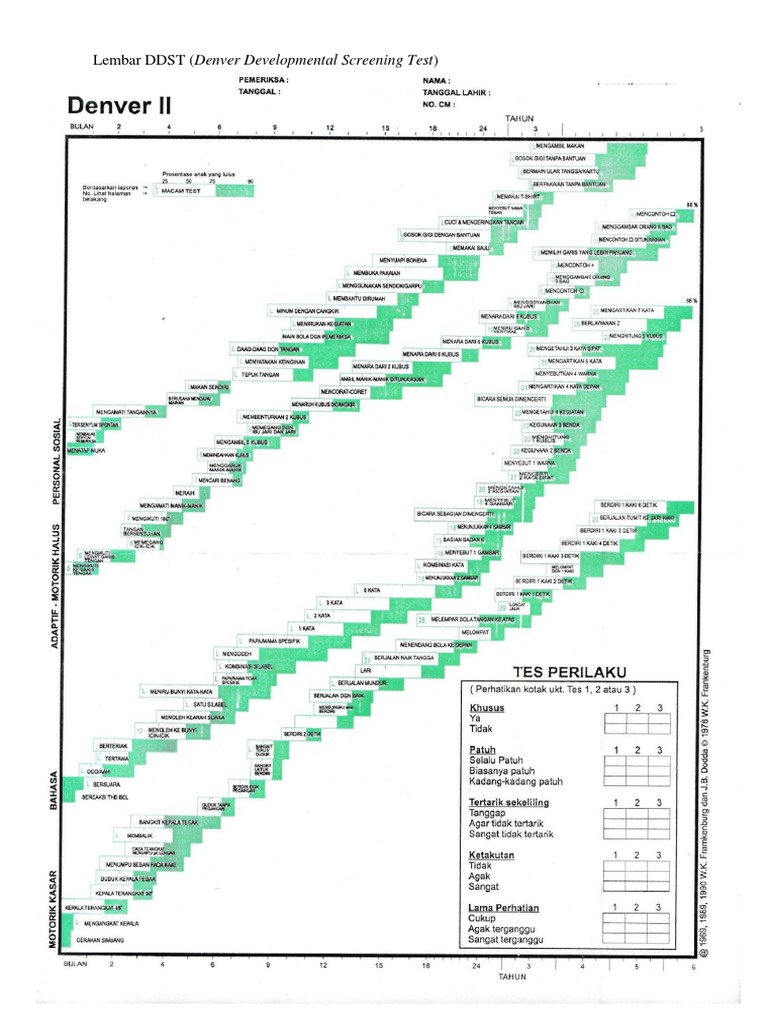 Tes Perkembangan Anak Denver | PDF
