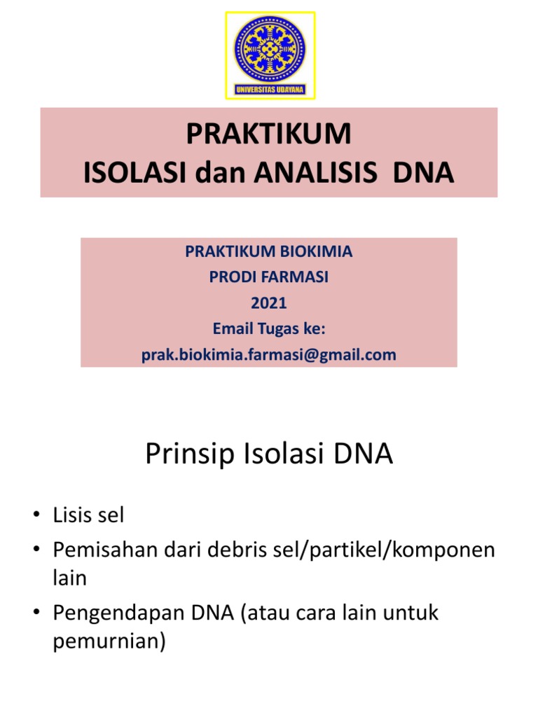 Praktikum Biokimia - Isolasi & Analisis DNA 2021 | PDF Praktikum Biokimia - Isolasi & Analisis DNA 2021 | PDF