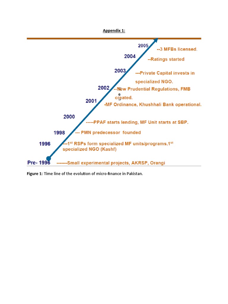 Appendix Final | PDF | Loans | Microfinance