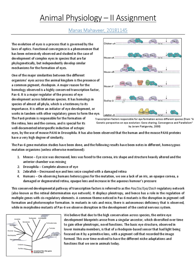 Animal Physiology - II Assignment: Manas Mahaveer, 20181145 | PDF | Eye ...