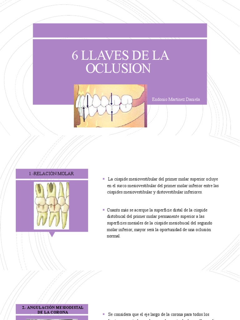 6 Llaves de La Oclusion | PDF | Odontología | Diente