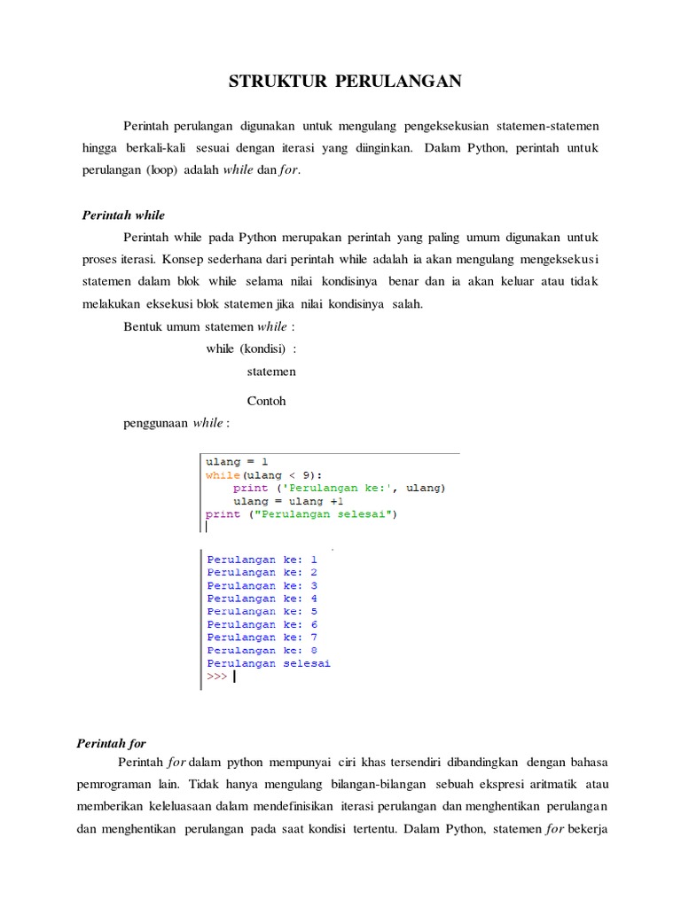 Struktur Perulangan | PDF