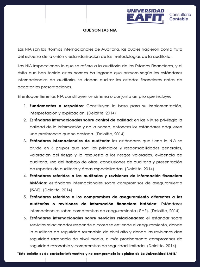 A Qué Son Las NIA | PDF | Auditoría | Contralor